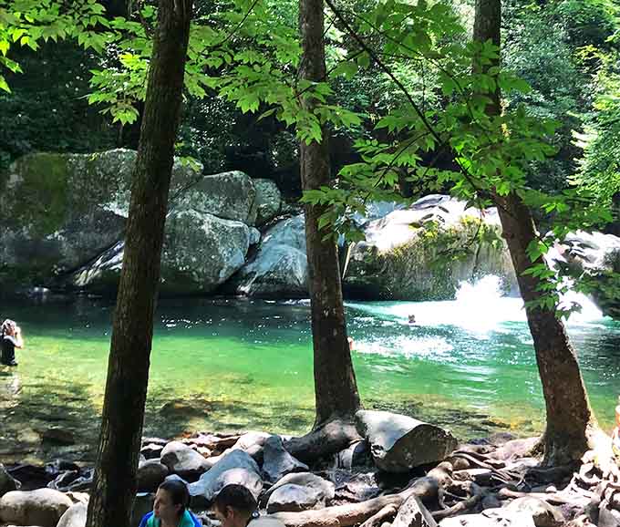 That green water isn't a filter. Nature just decided to show off a little that day.