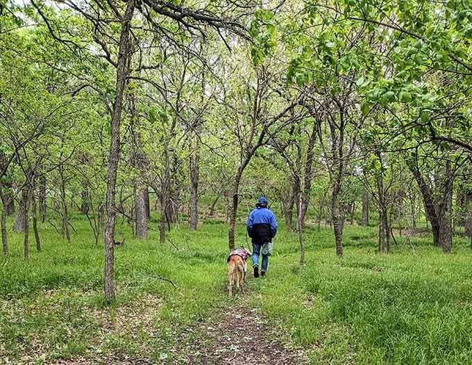 Man, dog, trail, trees. Some combinations are just timeless, and this one is no exception whatsoever.