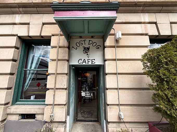 Lost Dog Caf&eacute; looks like the kind of place where the coffee is strong and the conversation is even stronger.