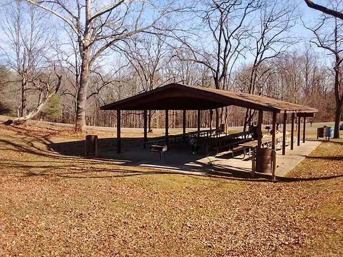 A covered shelter full of people and smoke rising from the grill, that's a proper Maryland afternoon right there.