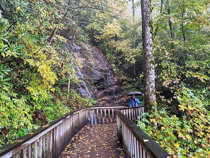 Even on a rainy day, the Ada-Hi Falls Trail delivers scenery that makes the wet socks worth it.