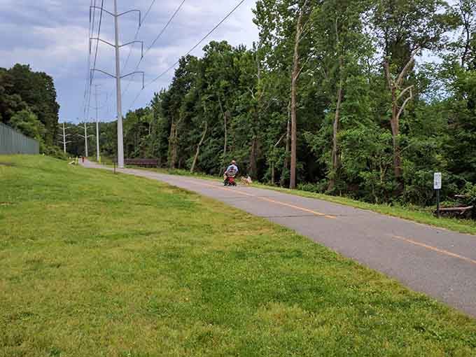 The trail stretches out ahead, green and wide, like an open invitation you'd be foolish to ignore.