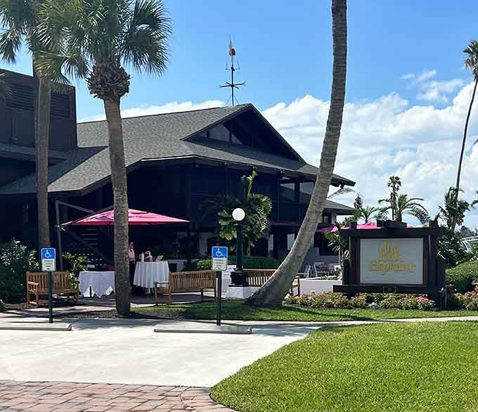 The Pink Elephant serves up island vibes in a setting that's refreshingly unpretentious and delightfully casual.