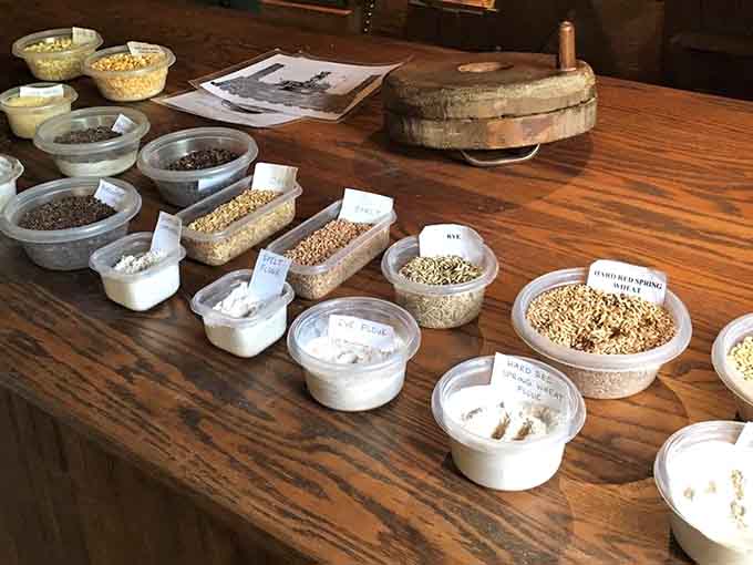 Spelt, rye, hard red spring wheat, and more. The mill's grain display is a delicious lesson in where flour comes from.