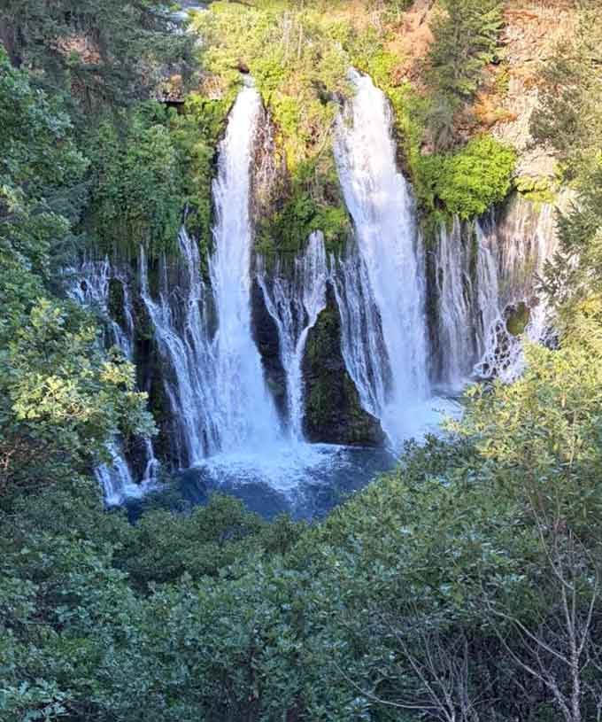 Framed by trees and sky, the falls look like a painting someone forgot to put behind glass.