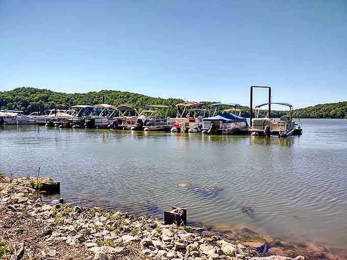 The marina's colorful fleet awaits your command, ready to explore every serpentine cove this lake offers.