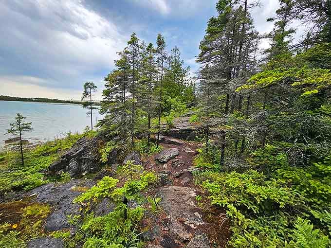 Pine trees cling to the rocky edge as the trail overlooks the cool, expansive waters on a cloudy day.