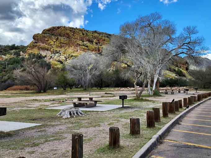 Picnic areas with canyon backdrops turn simple lunches into experiences worthy of their own photo albums.