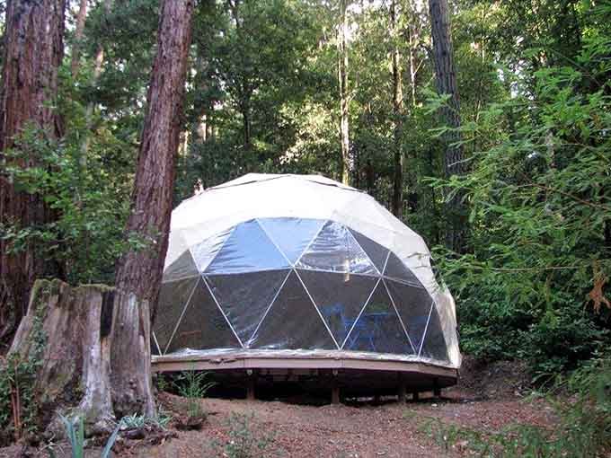 A geodesic dome rising out of the forest floor like something from a very comfortable science fiction novel.