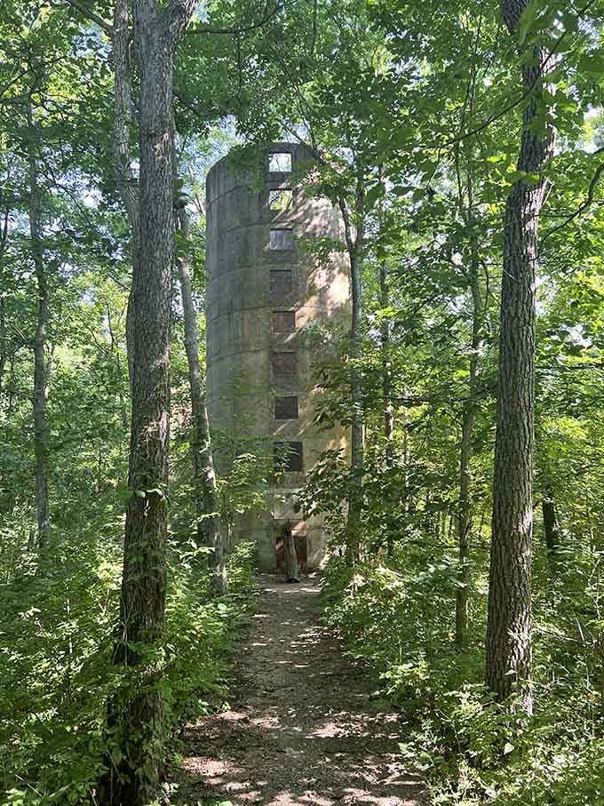 This mysterious tower stands in the woods like a forgotten castle, adding intrigue to your hiking adventure.