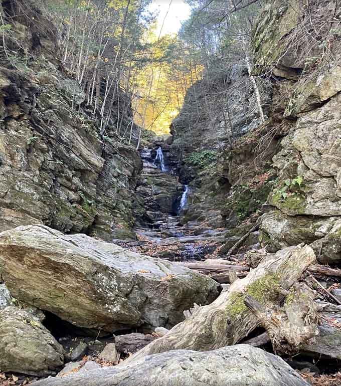 Water cascading down layered rock faces into a clear pool below. Nature showing off, and honestly, it's earned the right.