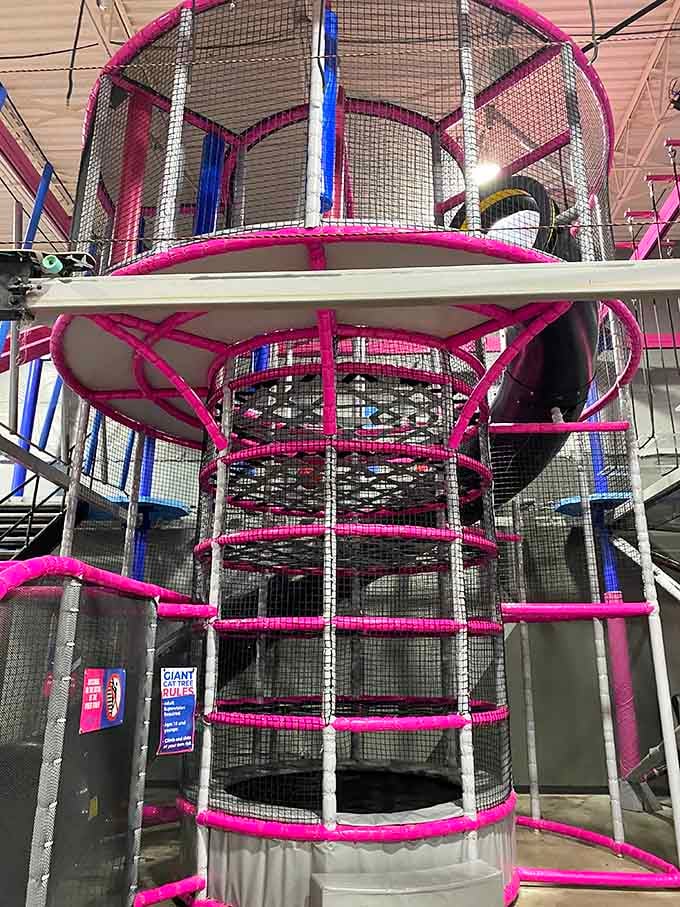 Climb it, conquer it, brag about it forever. The Giant Cat Tree is a multi-level challenge worth every step.