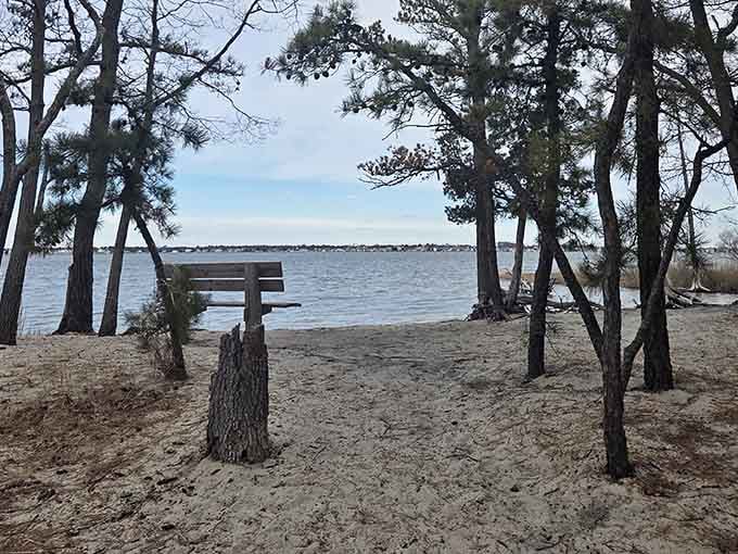 A bench positioned perfectly for contemplating why more people don't know about this peaceful slice of coastal paradise.