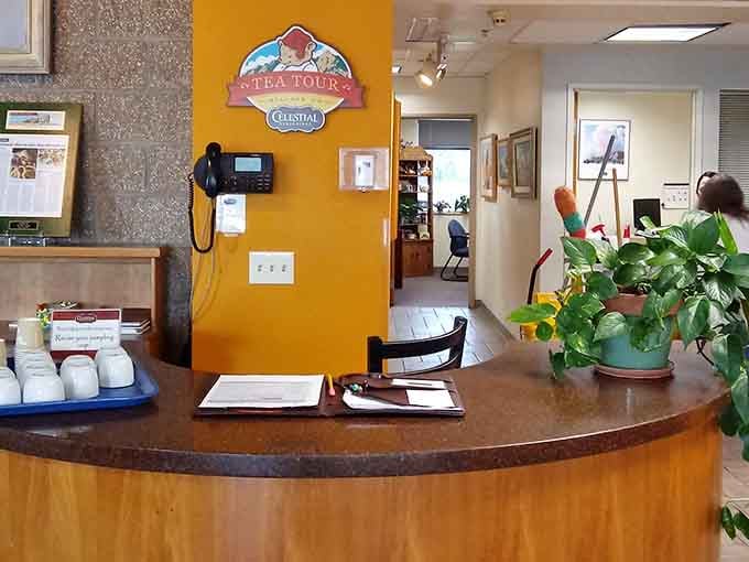 The tea tour check-in desk is warm and welcoming, the kind of place that makes you feel like a regular immediately.