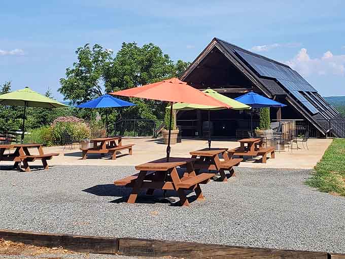 Blenheim Vineyards keeps things beautifully simple, with colorful picnic tables, mountain views, and wine that makes the whole afternoon feel like a reward.