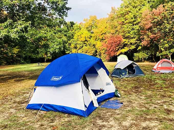 Camping under autumn foliage at Cheesequake is the kind of weekend your future self will thank you for.