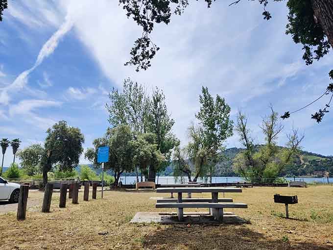 Picnic tables, shade trees, and a lake view that costs absolutely nothing to enjoy.