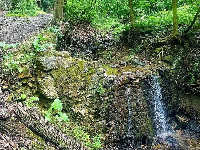 Water spills over old stonework in a gentle cascade, proof that this place is still very much alive.