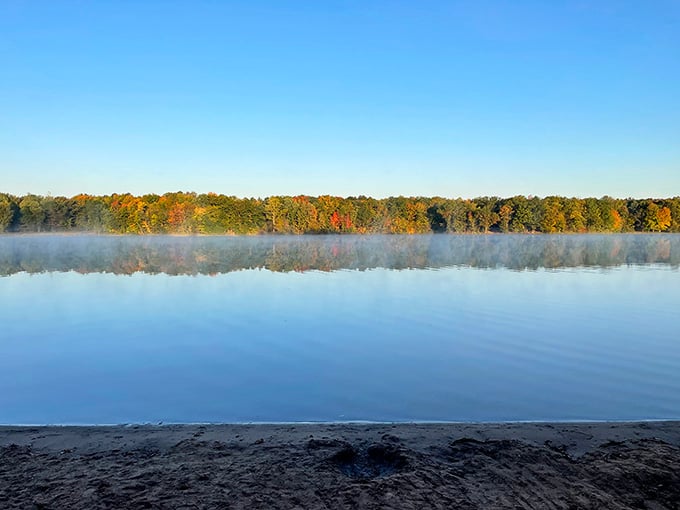Morning mist rising off the beach creates the kind of scene that makes you forget your phone exists.