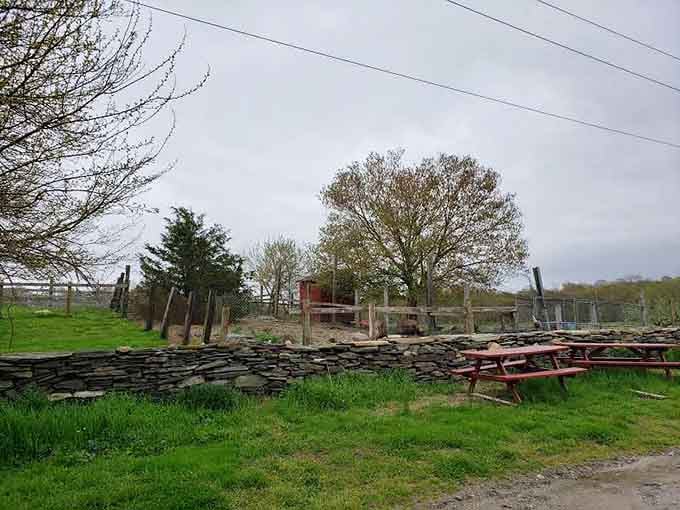 Red picnic tables, a dry-stacked stone wall, and the kind of quiet that reminds you why you drove out here.
