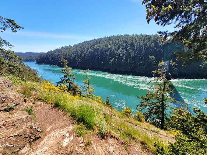 That churning turquoise water rushing through the pass is nature doing exactly what it wants.