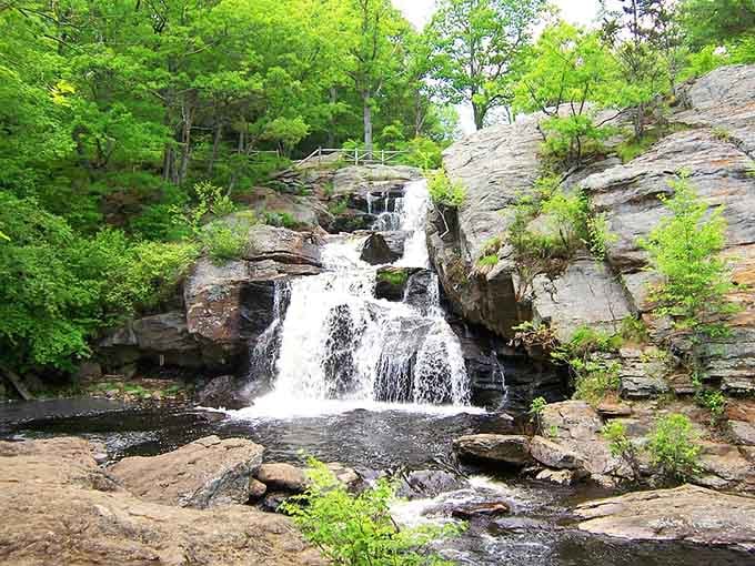 Chapman Falls tumbles down sixty feet of stone steps like liquid silver catching the sunlight perfectly.