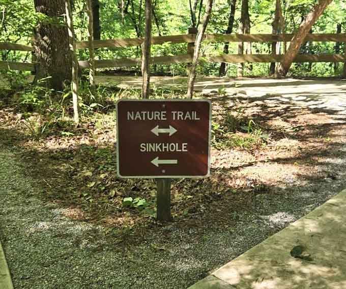Nature Trail or Sinkhole? Honestly, the correct answer here is both. Do both. No regrets.