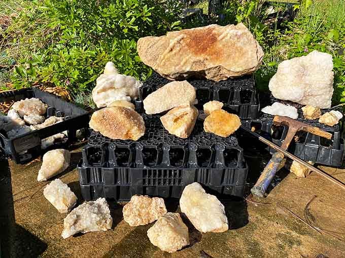 A gorgeous pile of raw quartz crystals, each one a little souvenir from deep inside the South Carolina earth.