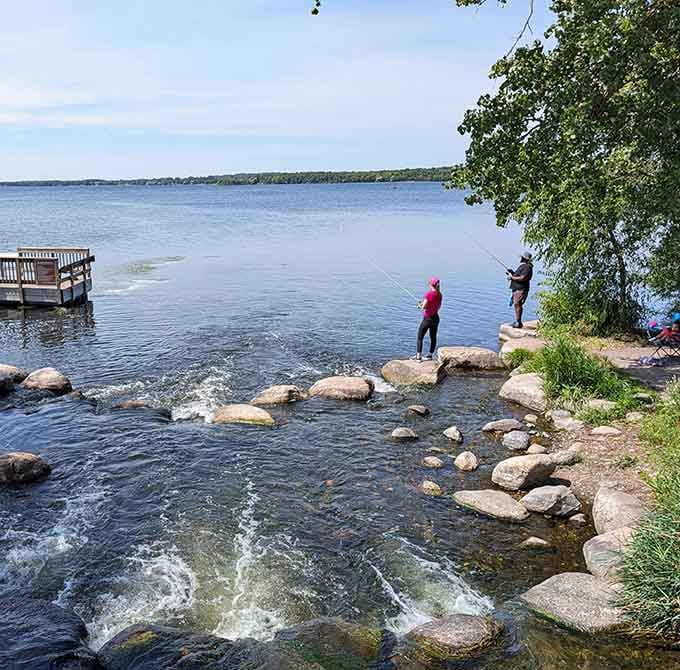 Casting a line where the rapids meet the open lake at Dunton Locks County Park. Not a bad office.