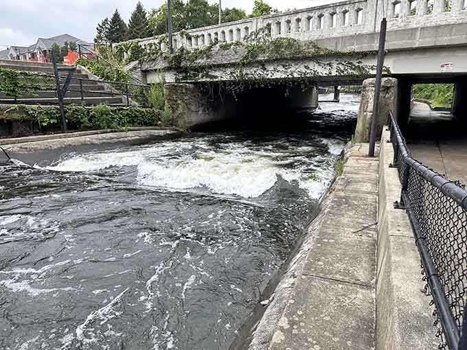 The water doesn't wait for anyone. This churning channel reminds you that nature runs on its own schedule.
