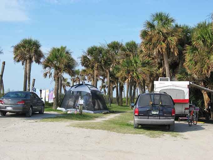 Camping spots lined with palmettos offer front-row seats to coastal living at its most authentic and relaxed.