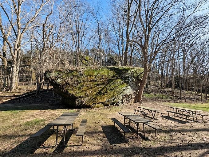 Picnic tables parked next to a moss-covered boulder the size of a small house. Lunch with a view.