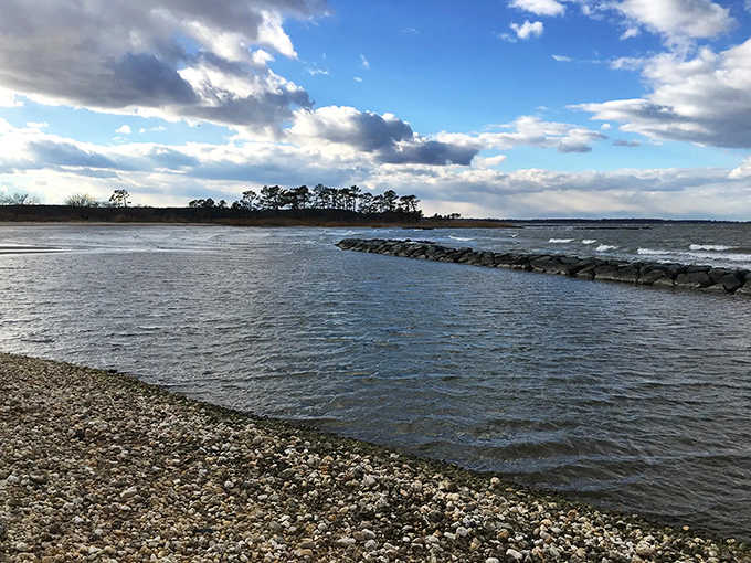 Rocky breakwater, choppy water, dramatic clouds. Ferry Point Park in winter has the kind of energy that wakes you right up.