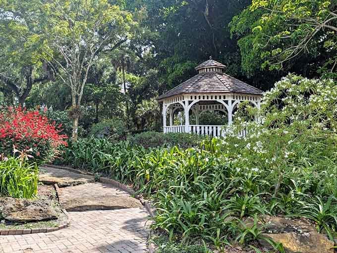 Tucked among flowering plants and old trees, this gazebo at Flamingo Gardens is pure, unhurried Florida charm.