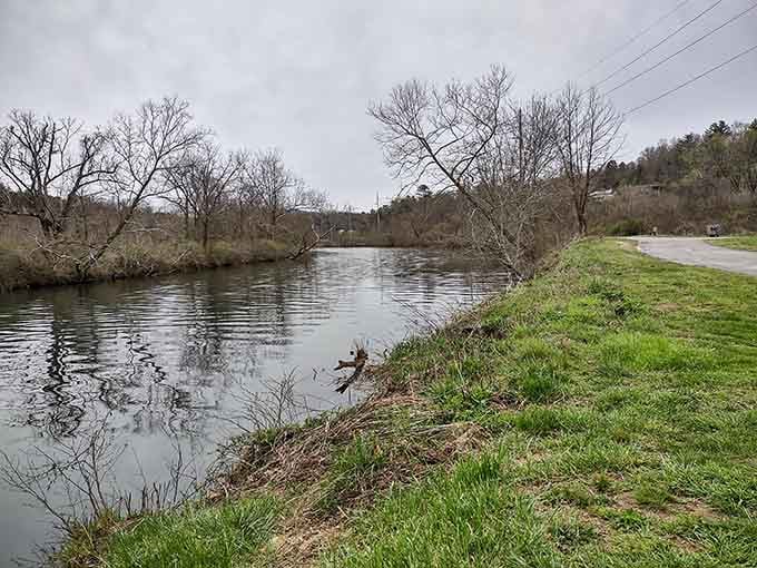 The riverbank in early spring, bare and honest, with the water doing all the talking it needs to do.