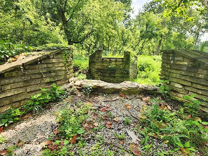 These weathered stone walls whisper stories from another era, adding historical intrigue to your woodland wandering today.