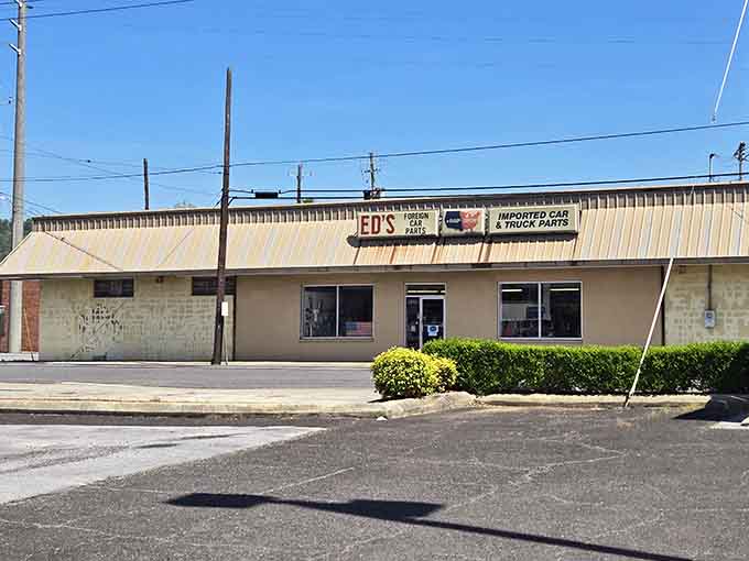 Ed's Foreign Car Parts has the no-nonsense, sun-baked look of a place that actually knows what it's doing under the hood.
