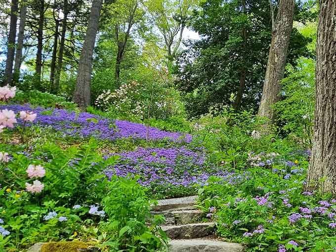 Stone steps leading up through a hillside covered in purple phlox and wildflowers, the kind of scene that makes you audibly gasp.