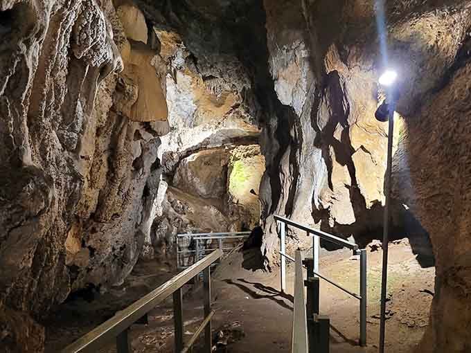 The lit pathway winds through chambers that no architect could ever dream up, because geology doesn't need blueprints.