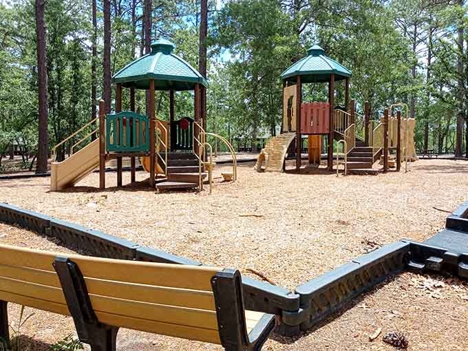 Kids get a playground surrounded by tall pines. Honestly, that's a pretty unfair advantage over regular playgrounds.
