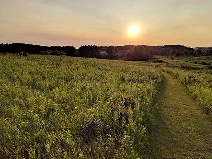 Sunset paints the grasslands gold, proving that sometimes the best entertainment requires absolutely no Wi-Fi connection.