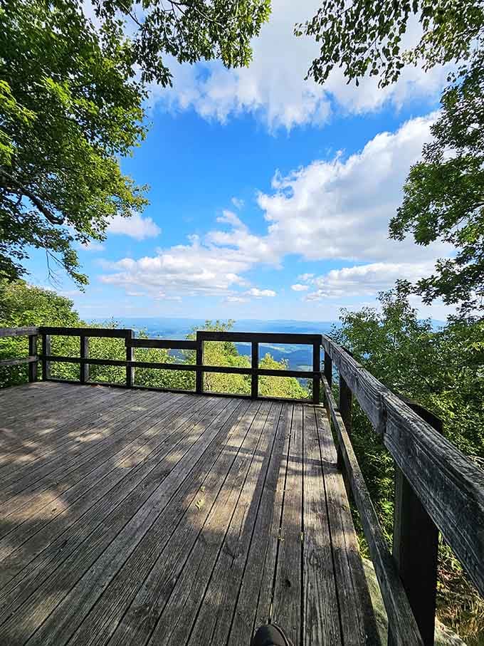 Observation deck offering panoramic views that make you forget about whatever was stressing you out yesterday.