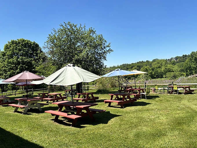 The Riverside Cafe's sunny outdoor picnic tables are proof that eating outside with a view never gets old.