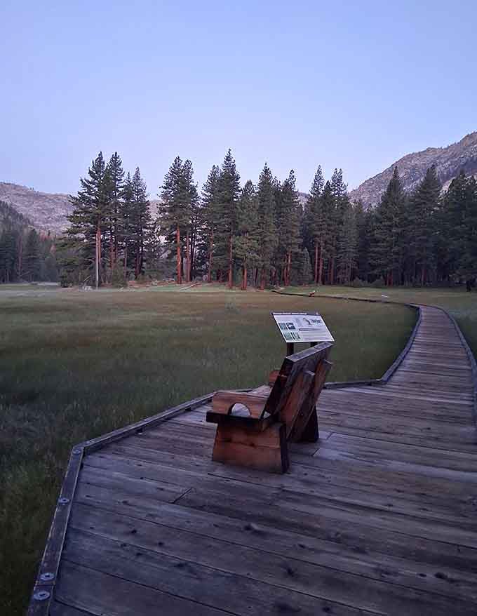 That Adirondack chair faces meadows and mountains, basically the best seat in any house ever built.