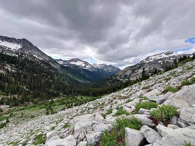 Snow-dusted peaks, a rocky alpine slope, and a valley of deep green pines stretching out like something from a nature calendar.
