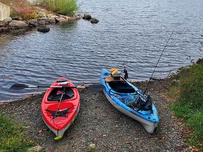 Two kayaks, one lake, and zero reasons to check your email for the rest of the afternoon.
