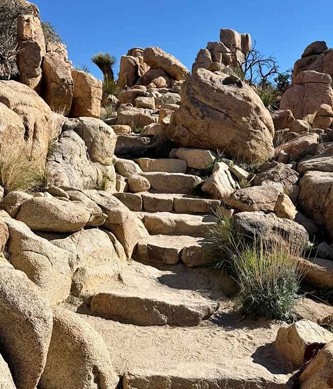 Natural stone steps carved by time itself guide you deeper into this geological playground.