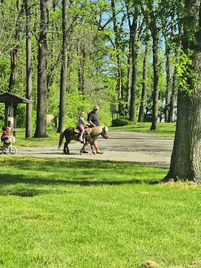 Pony rides for the little ones &mdash; because every kid deserves at least one perfect park memory.