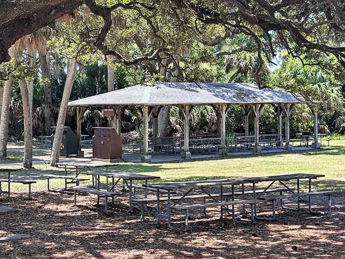 Shaded picnic tables under live oaks make a pretty convincing argument for packing a lunch before you visit.