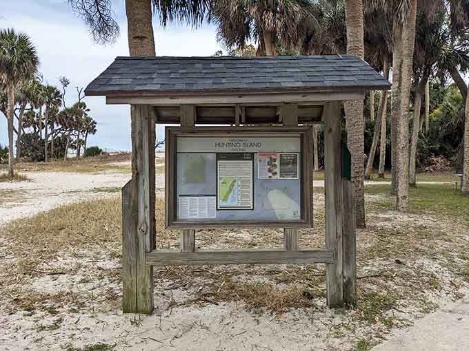 Trail maps and park information keep you oriented, because getting lost is only fun when it's intentional and involves snacks.